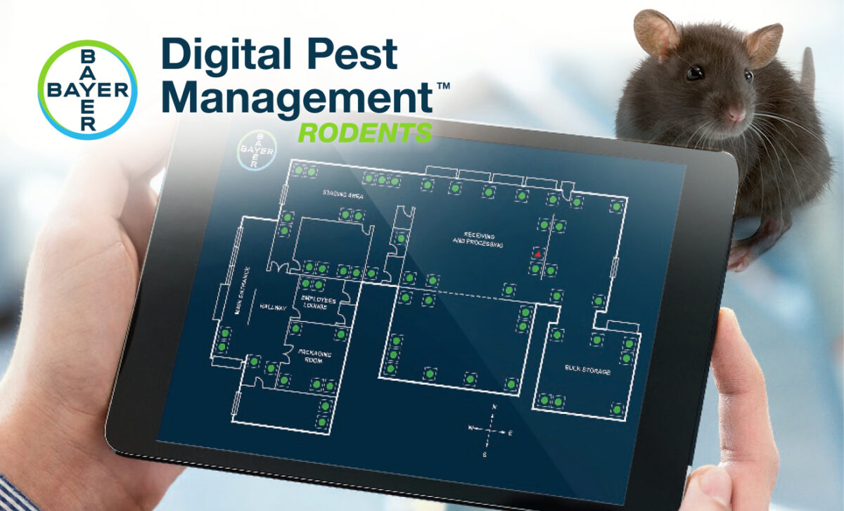 Bayer launch new rodent digital pest management system - Pest Control News