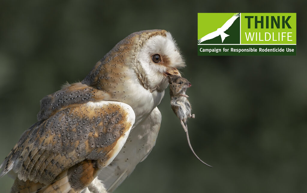 New Q&A Guide from CRRU UK Prepares Rodenticide Users for 2026 ...