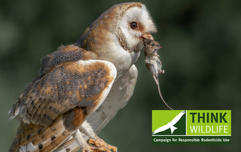 Pest Control News - Free Colour Magazine - Industry News and Tips