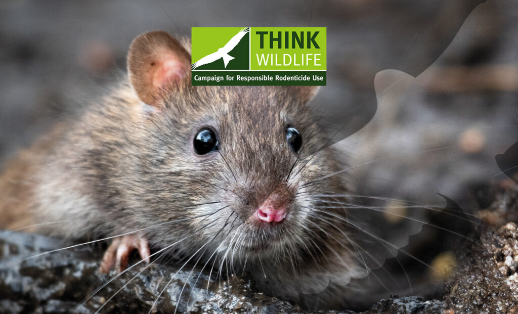 Professional rodenticide users have two years to prepare for changes ...
