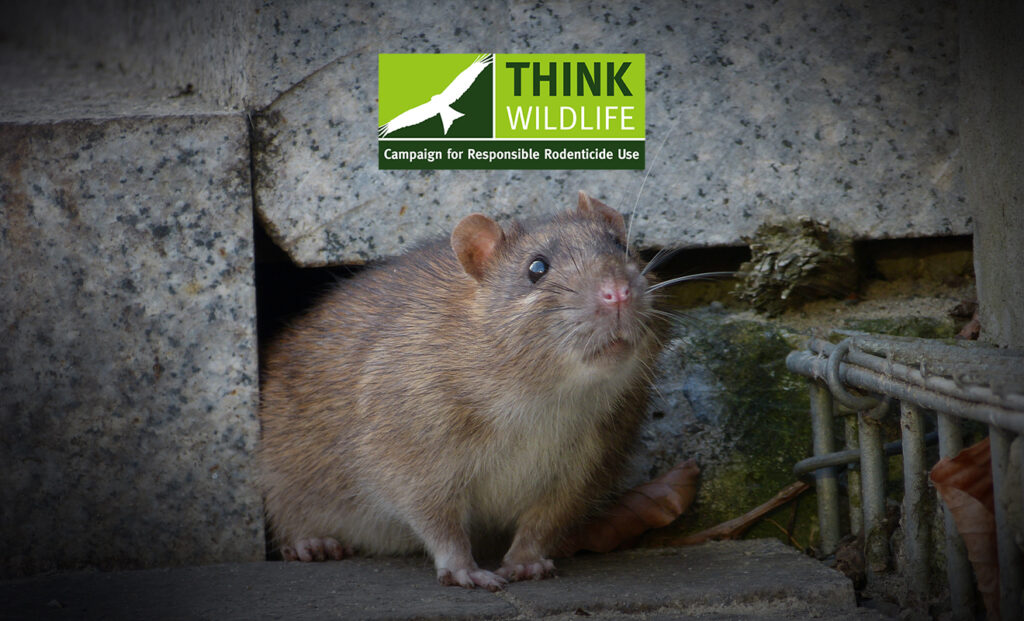 New Q&A Guide from CRRU UK Prepares Rodenticide Users for 2026 ...