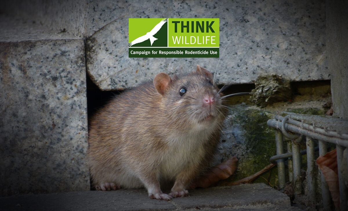 All Upcoming Events – Pest Control News