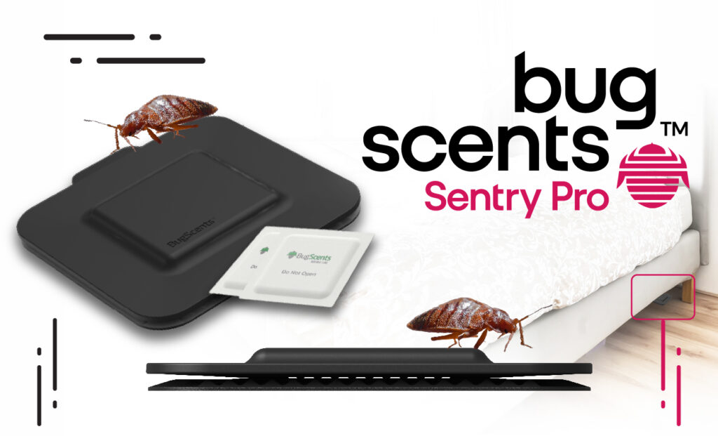 Paris 2024 athletes first to use a new revolutionary rapid bed bug ...